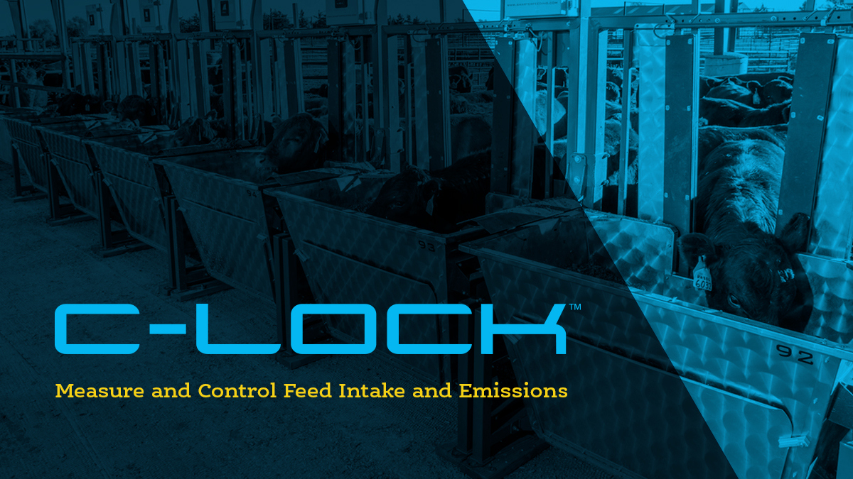 C-Lock Inc. | About Us